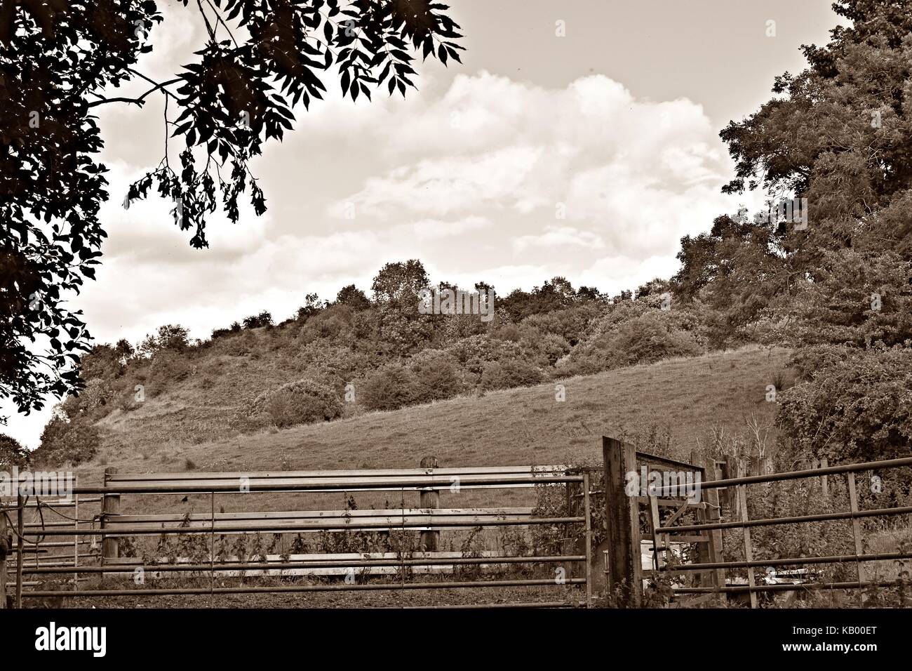 Twechar hi-res stock photography and images - Alamy