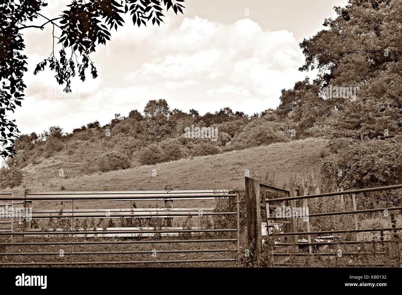 Twechar village hi-res stock photography and images - Alamy