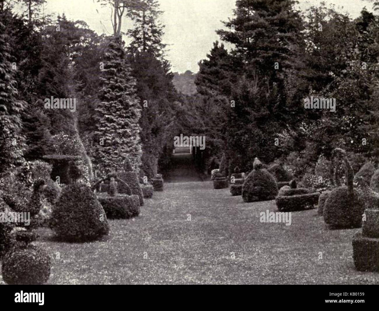 Topiary Garden Lowther Castle 1911 Stock Photo - Alamy