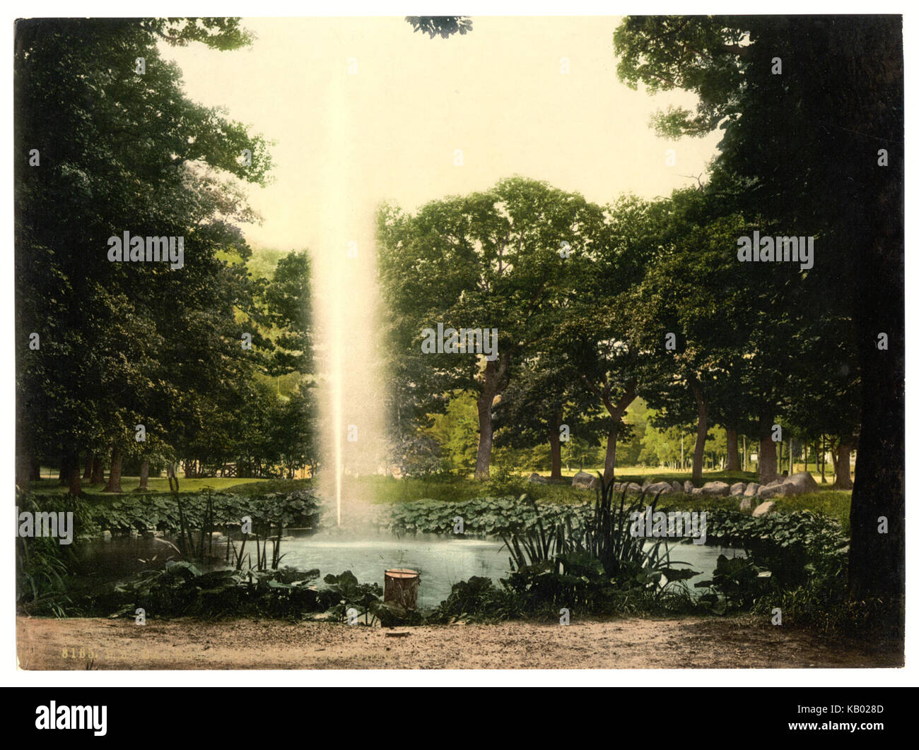 Under the oaks, Harzburg, Hartz, Germany LCCN2002713806 Stock Photo - Alamy