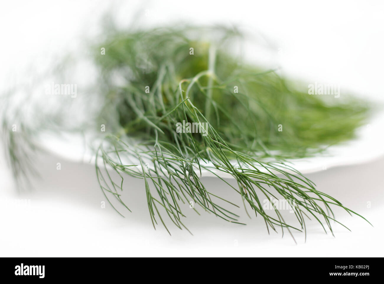 Cucumber more hi-res stock photography and images - Alamy