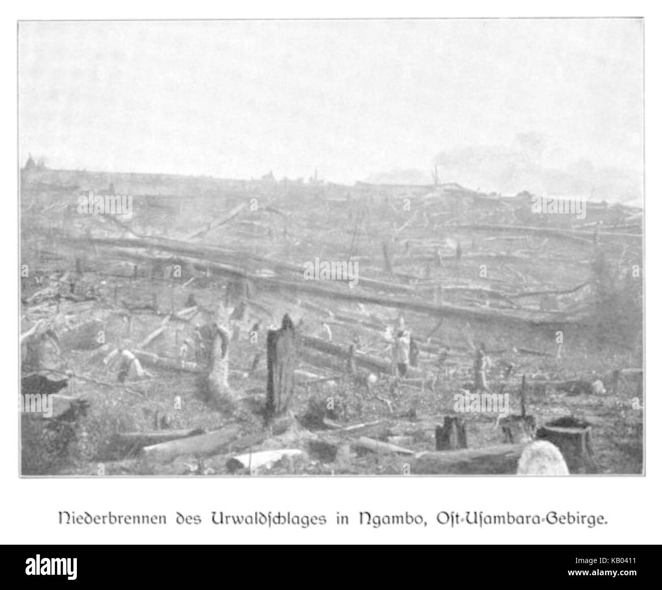 Brandrodung hi-res stock photography and images - Alamy