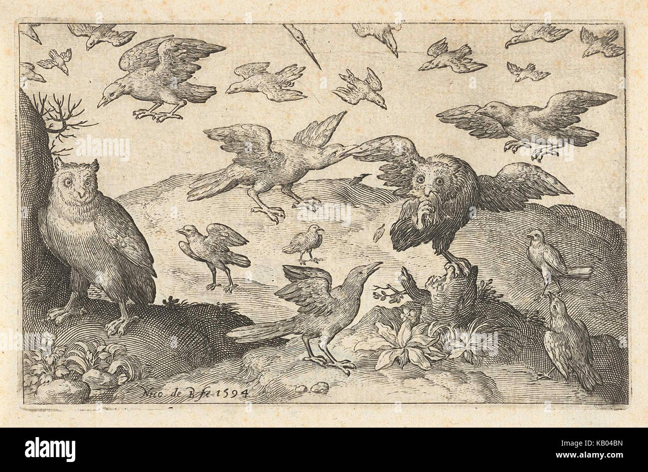 Owl prey attack hi-res stock photography and images - Alamy