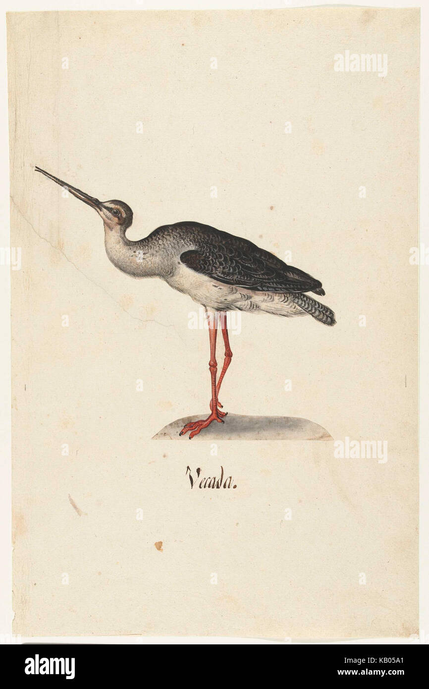 Ruiter hi-res stock photography and images - Alamy