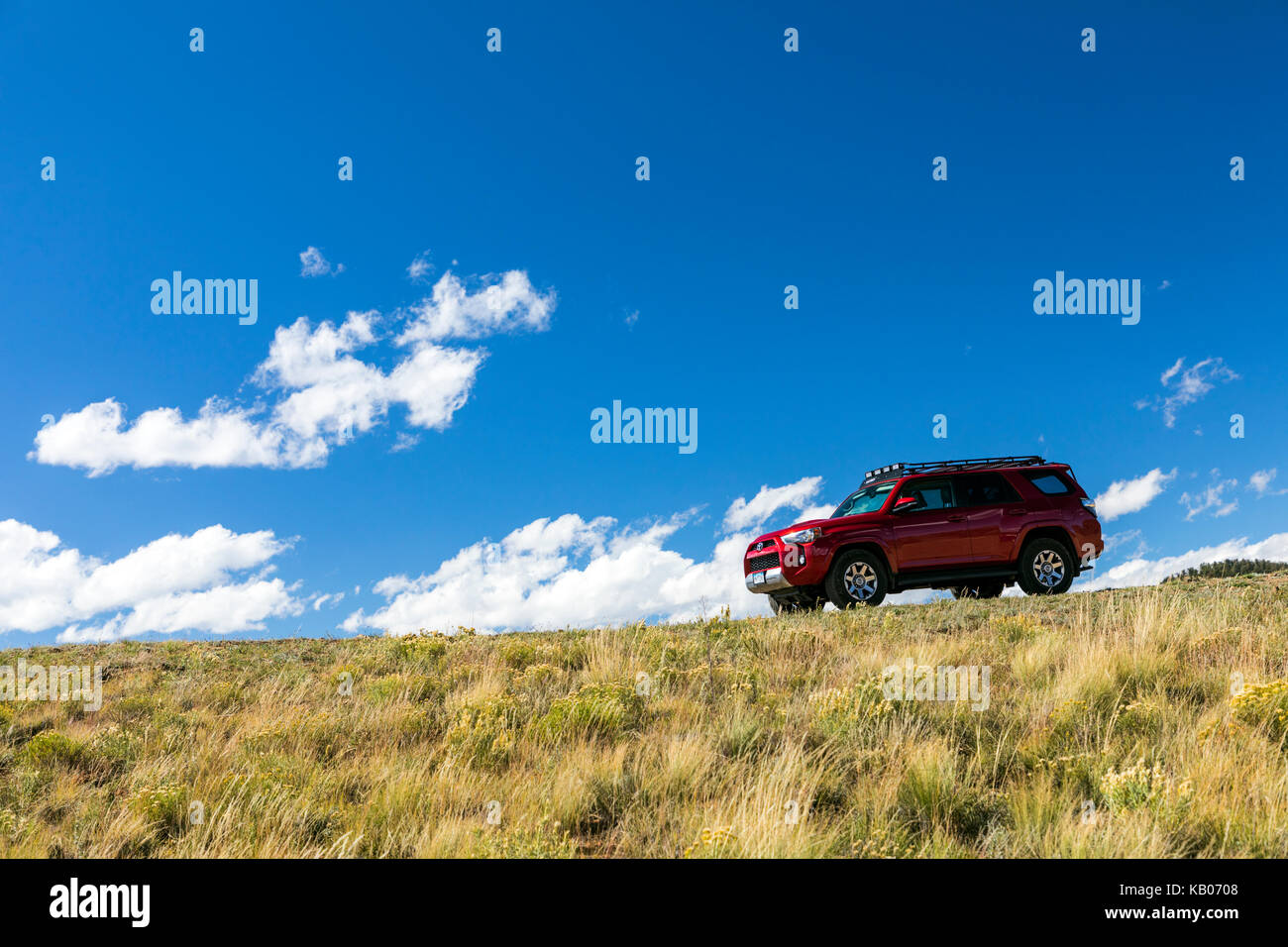 2014 Toyota 4Runner Trail Premium on rough four wheel drive 4WD road ...