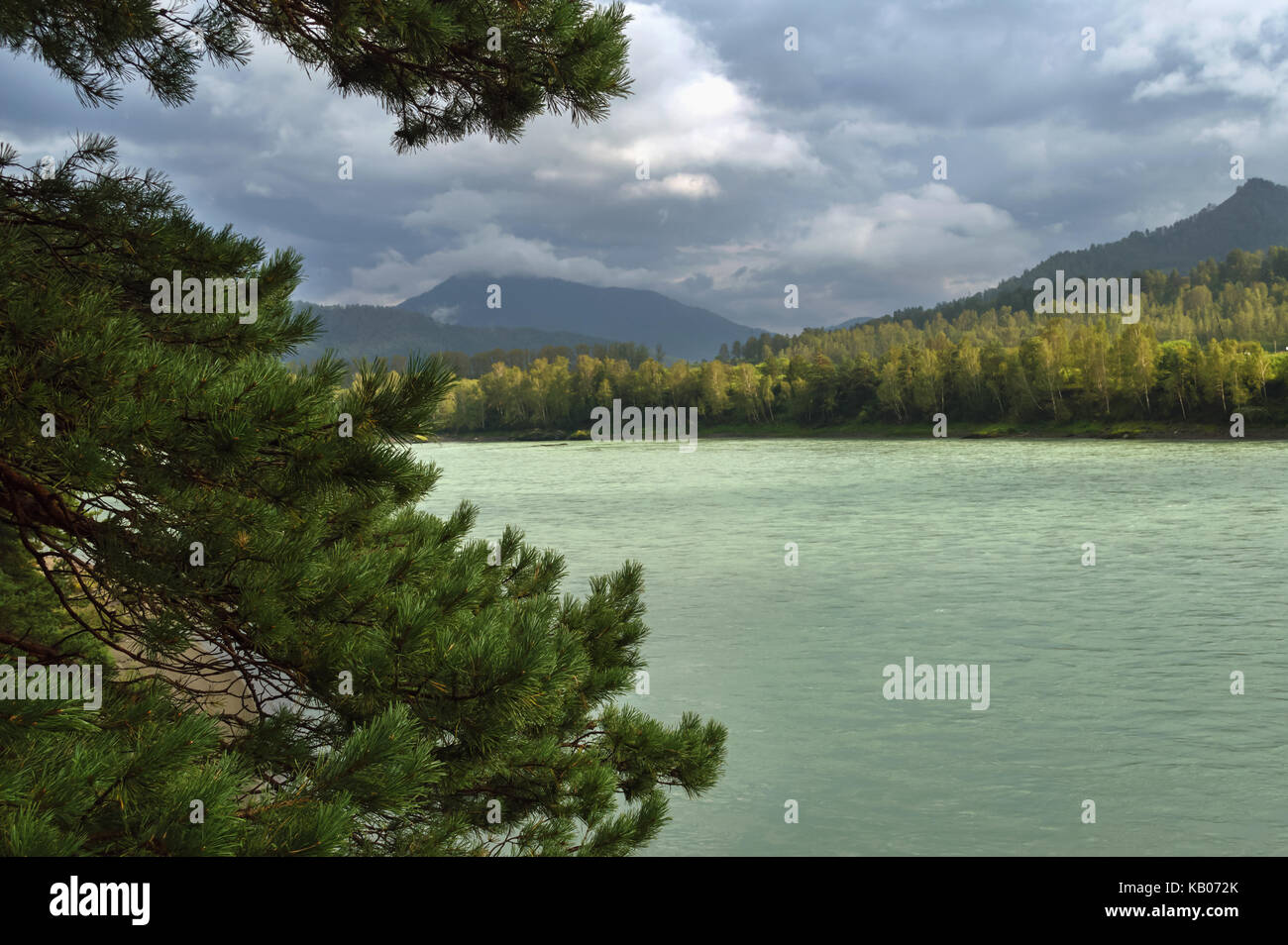 Katun river in Altai with mountains view Stock Photo - Alamy