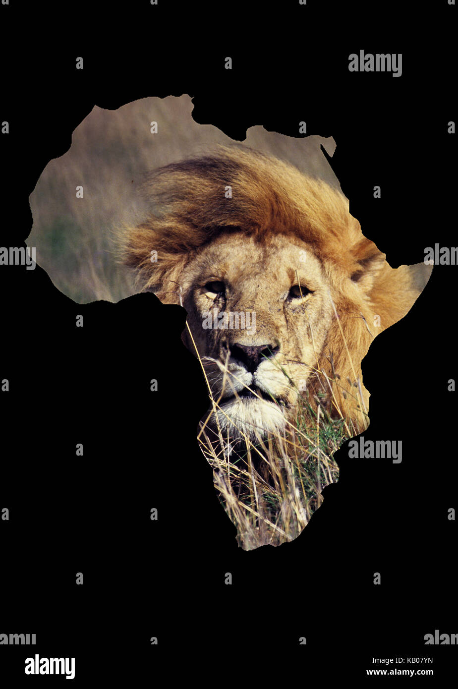 African map hi-res stock photography and images - Alamy