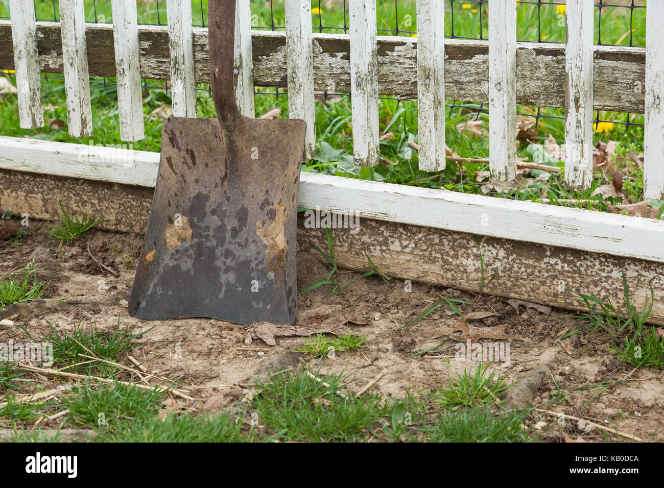 A dirty shovel leans up against a white picket fence on a farm Stock ...