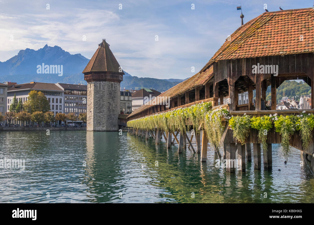 Lake Lucerne Switzerland famous walking bridge and swans in river ...