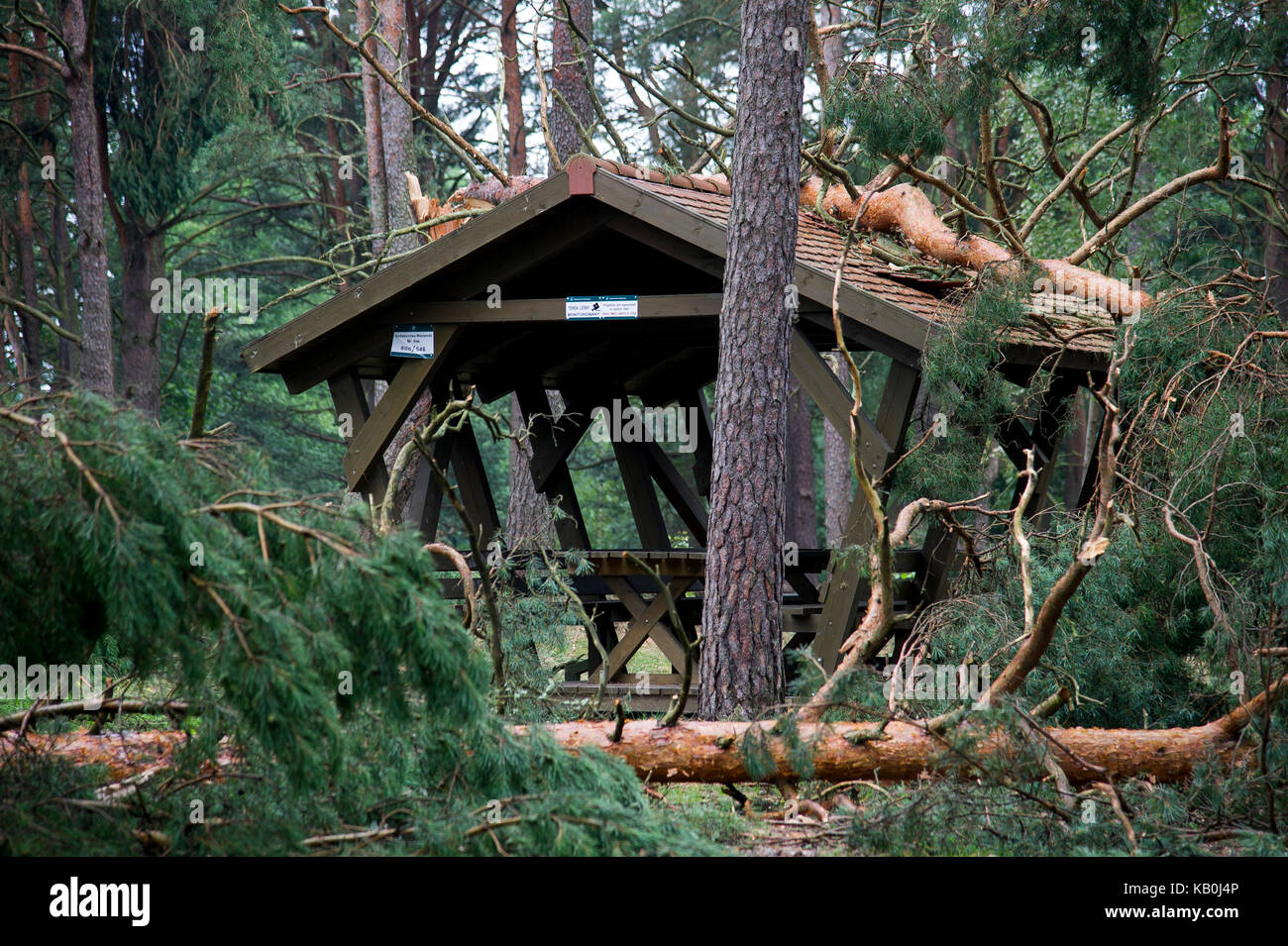 Destroyed shed hi-res stock photography and images - Alamy