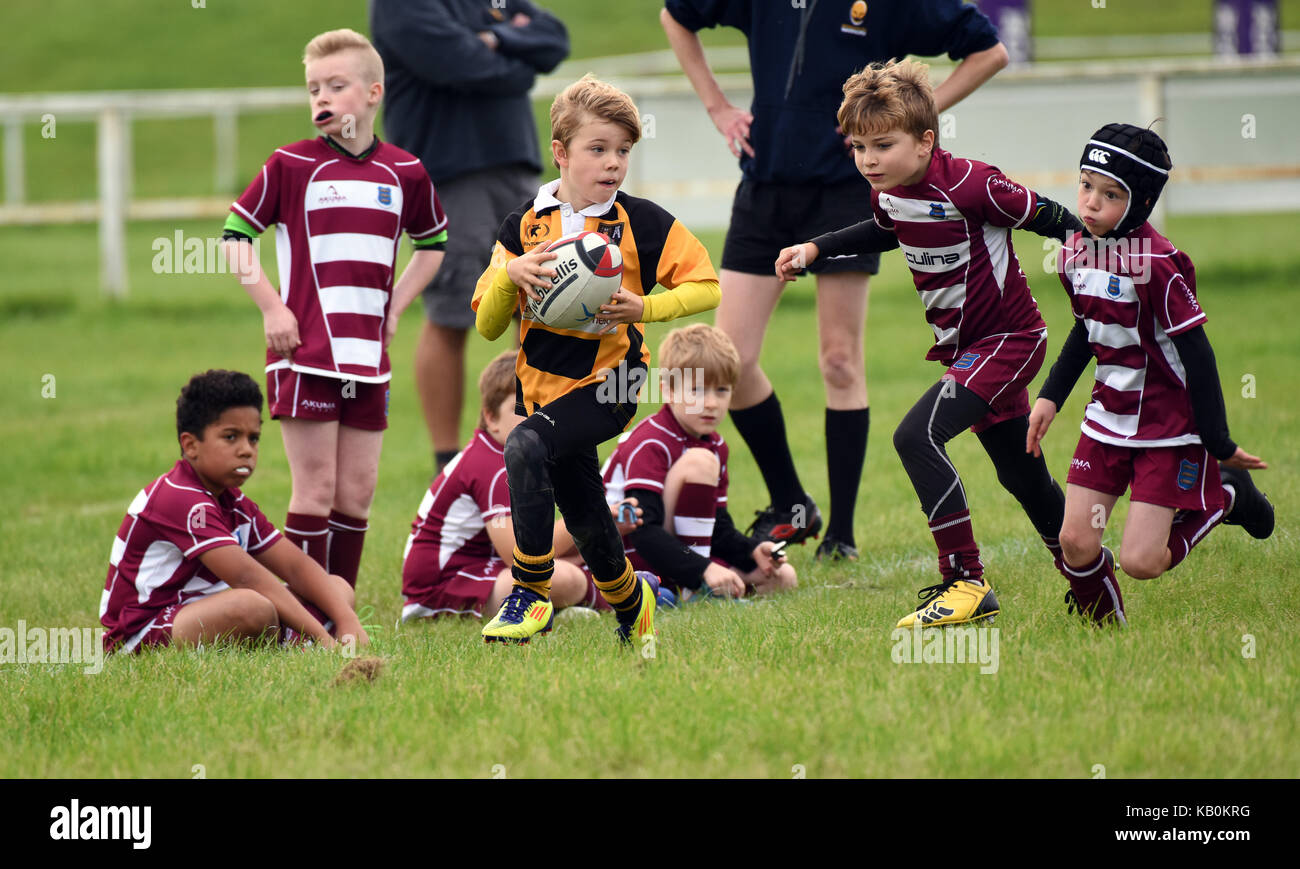 Children playing rugby hi-res stock photography and images - Alamy