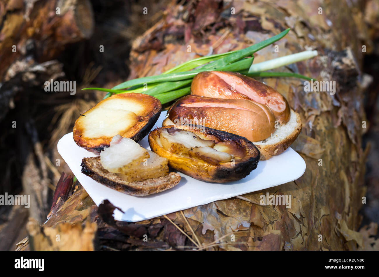 Preparation of sandwiches on a fire. Barbecue in the forest. Eating in ...
