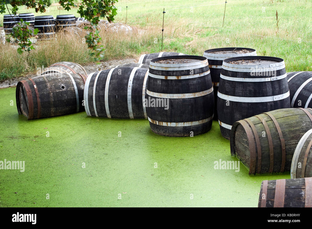 Pic shows: Barrels in a pond Stock Photo - Alamy
