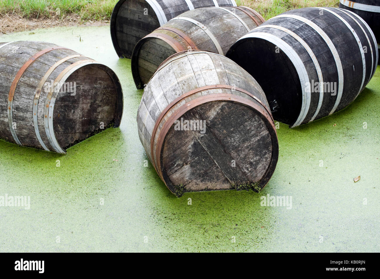 Pic shows: Barrels in a pond Stock Photo - Alamy