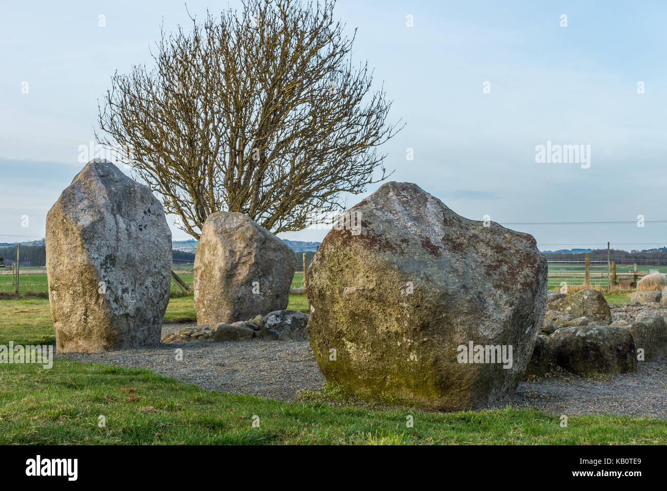 Circle with tree hi-res stock photography and images - Alamy