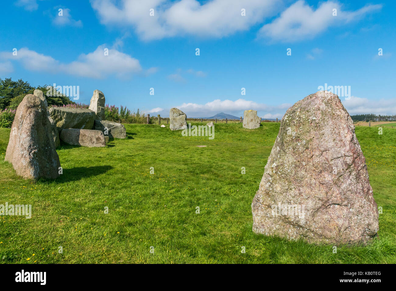 Stone circle with Bennachie in the distance Stock Photo - Alamy