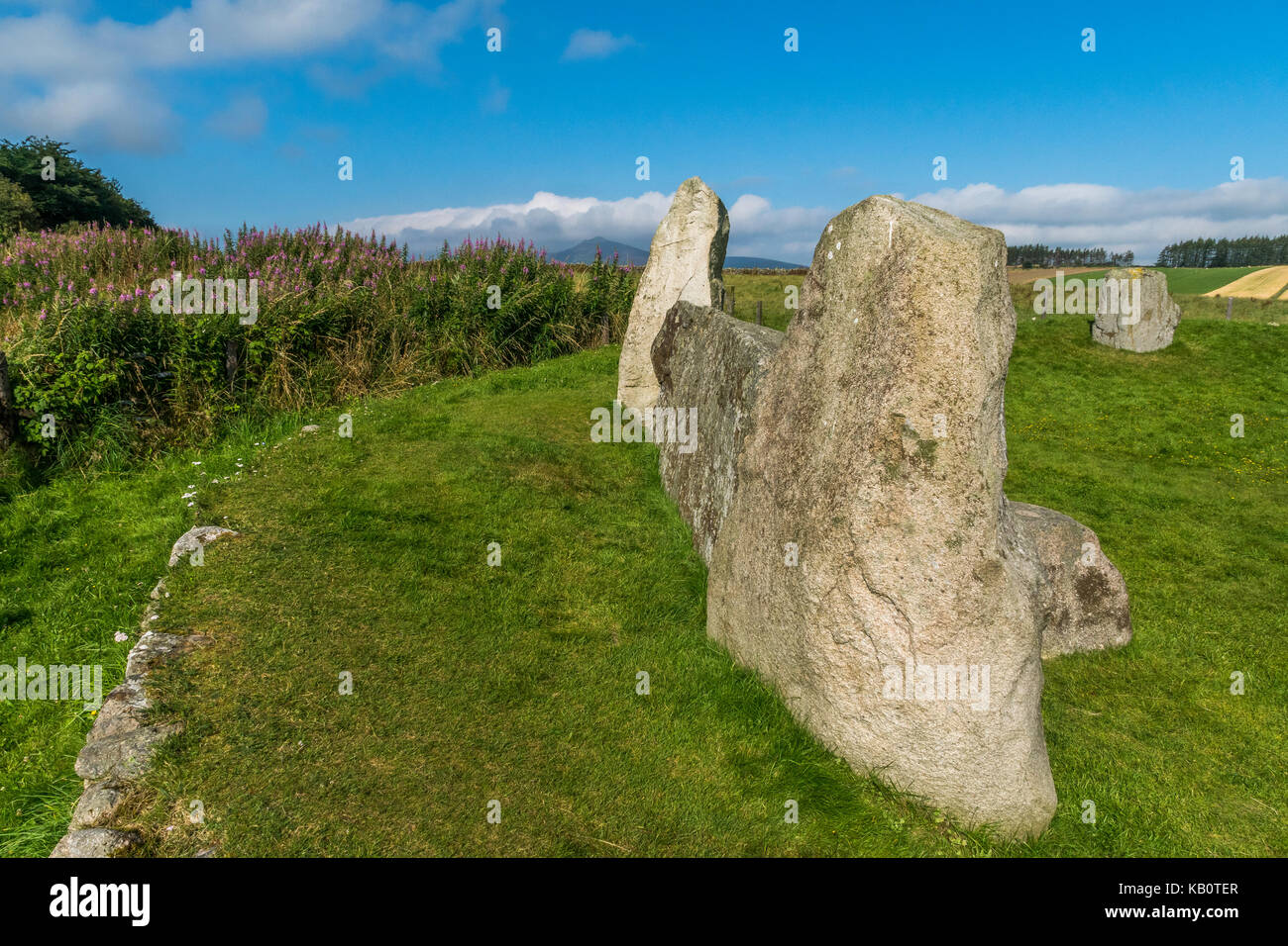 Stone circle with Bennachie in the distance Stock Photo - Alamy