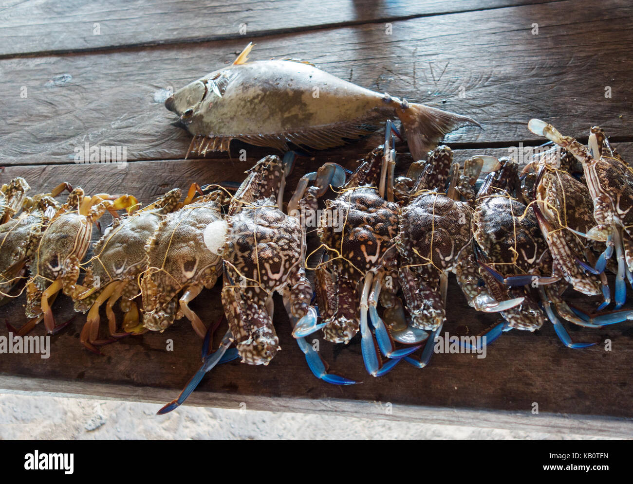 Philippines food - fish, crabs and seafood awaiting preparation ...