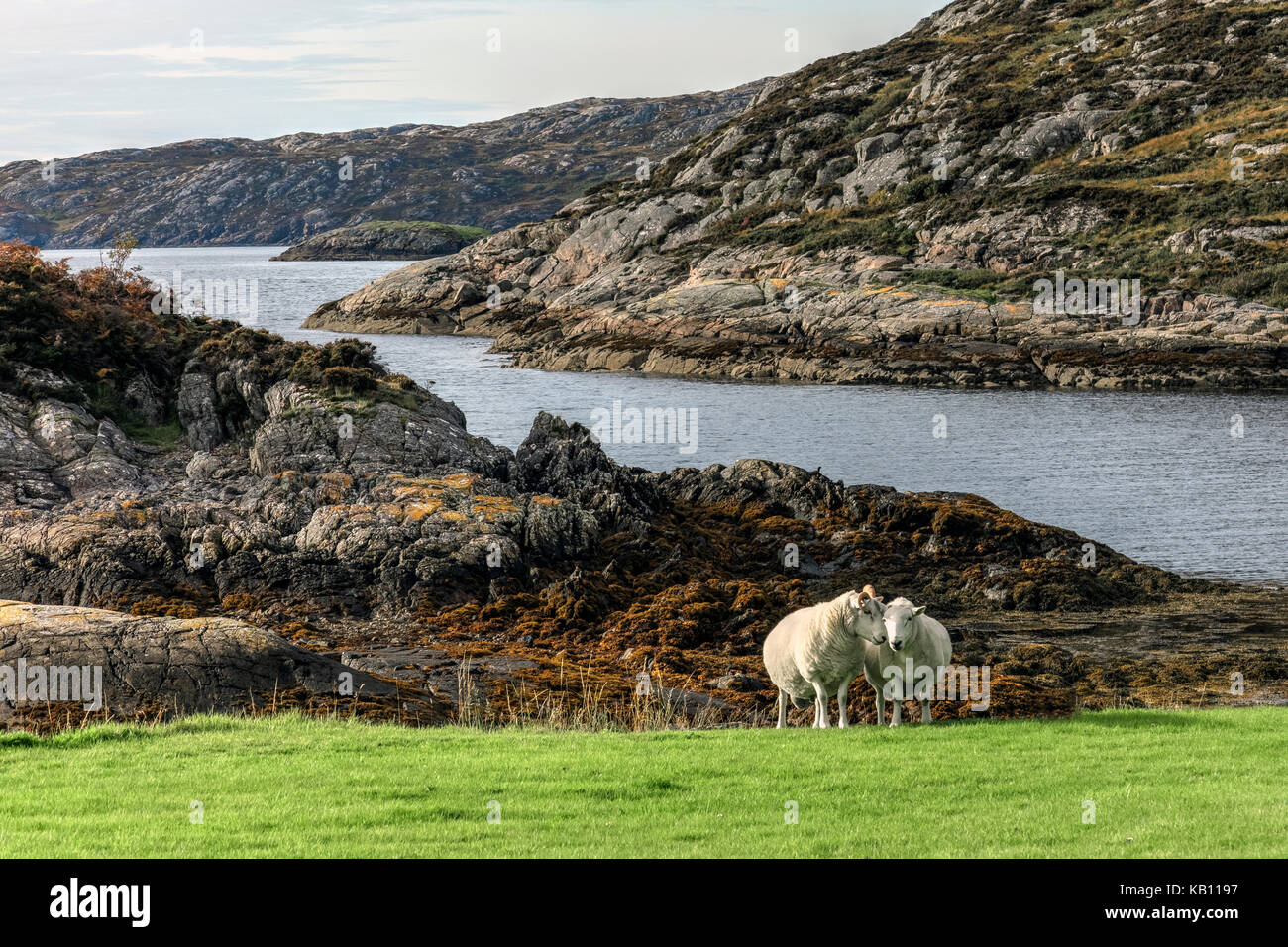 Loch Inver, Assynt, Sutherland, Scotland, United Kingdom Stock Photo ...