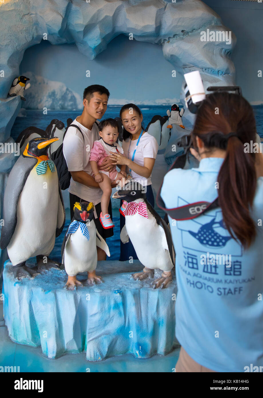 Family posing for a photo souvenir in the middle of fake penguins in ...