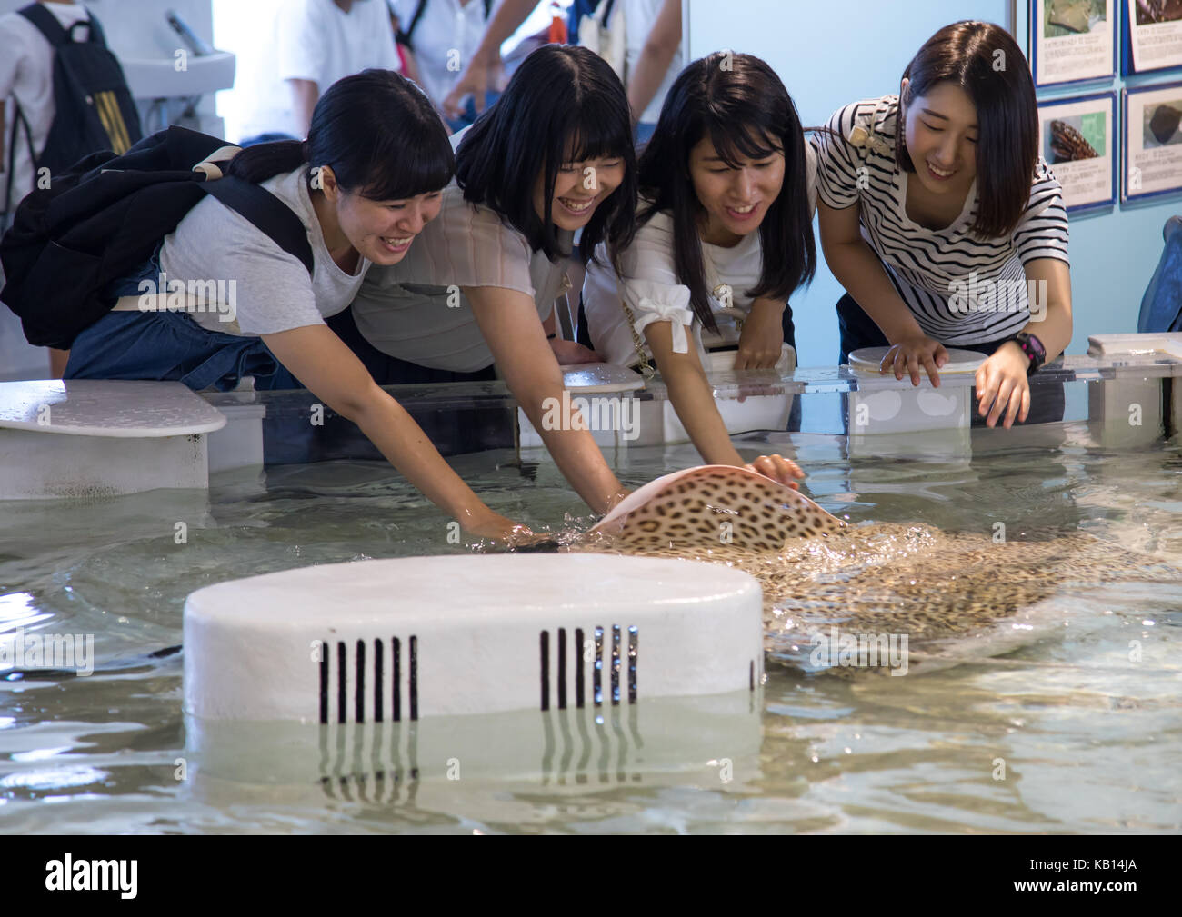 Touch pool aquarium hi-res stock photography and images - Alamy