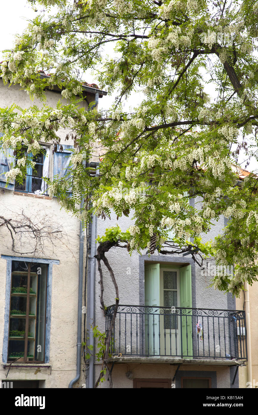 House in Fillols, France Stock Photo - Alamy