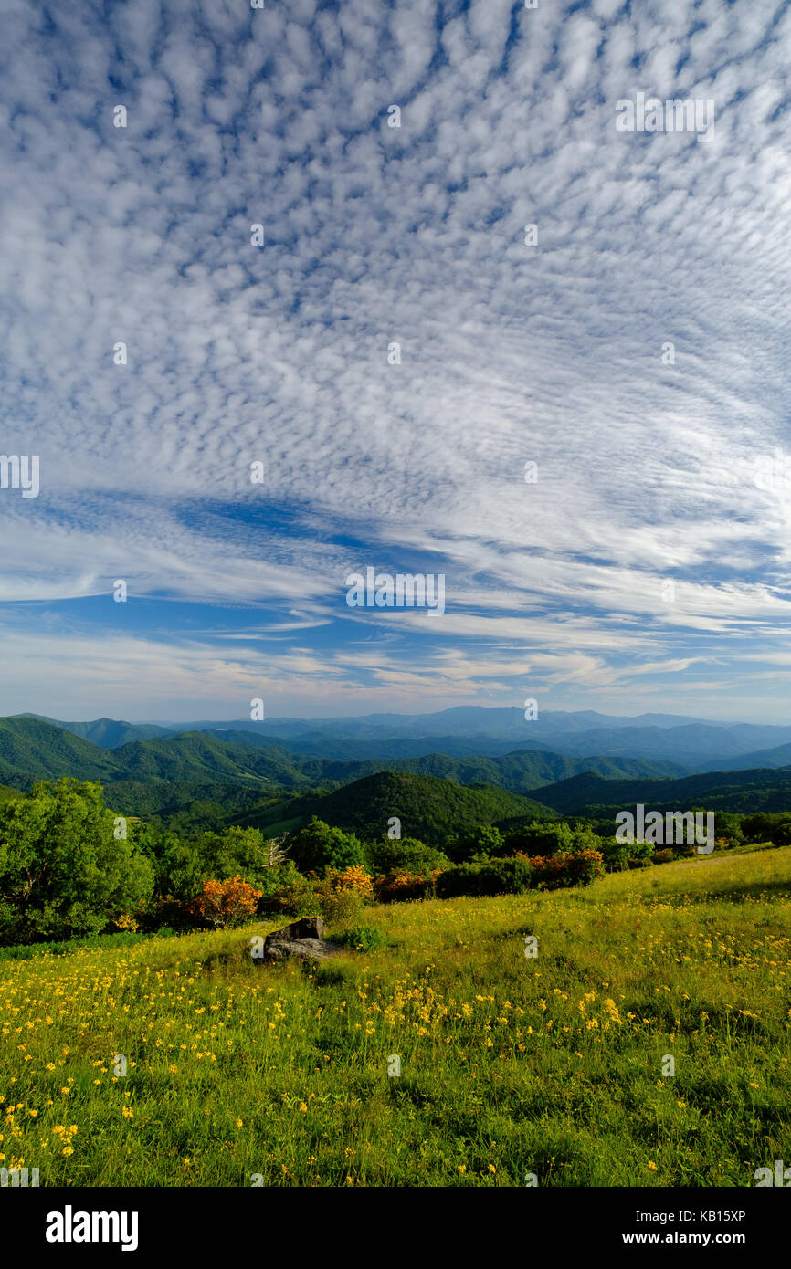 Roan mountain hi-res stock photography and images - Alamy