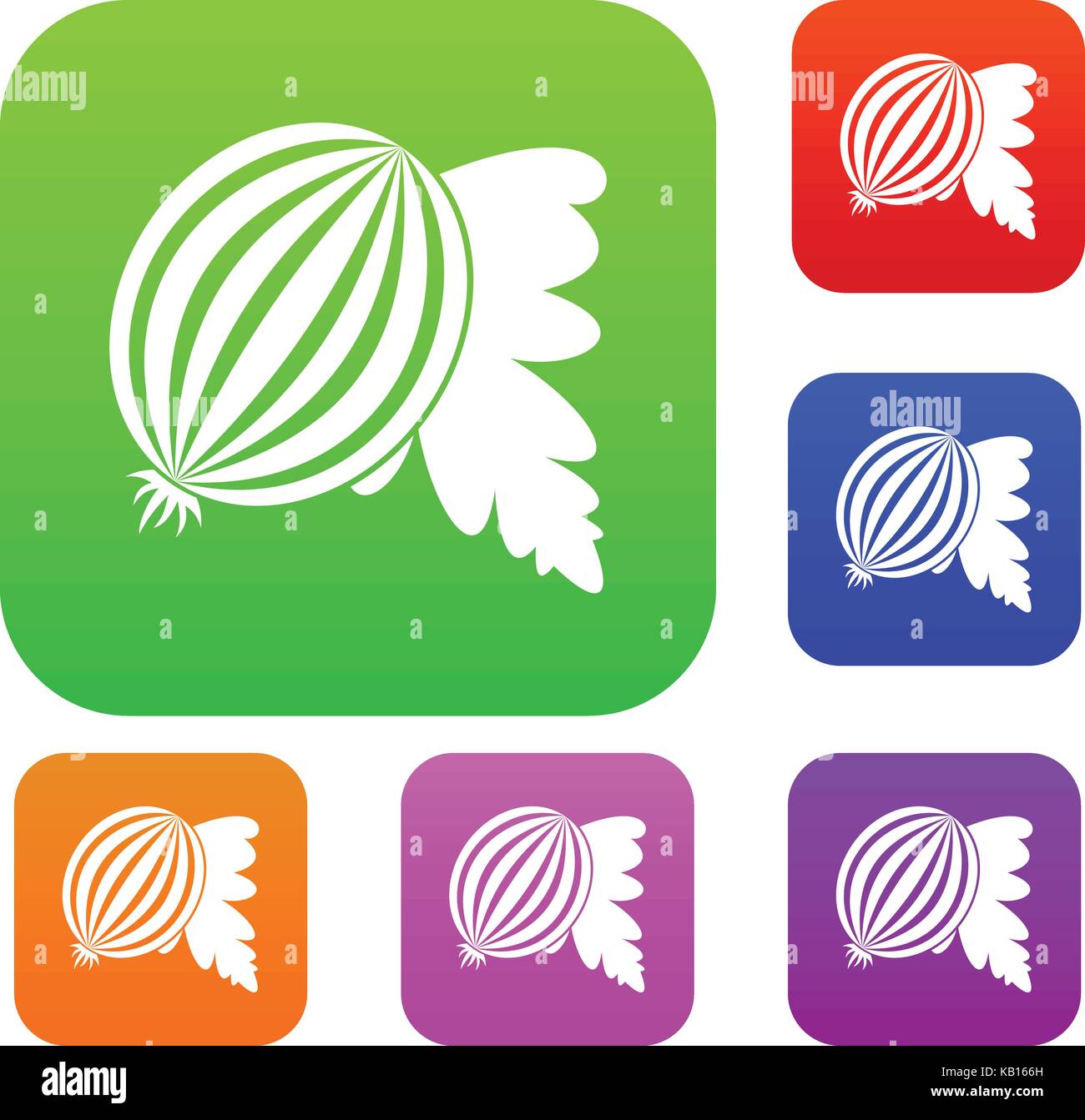 Gooseberry with leaves set color collection Stock Vector Image & Art ...