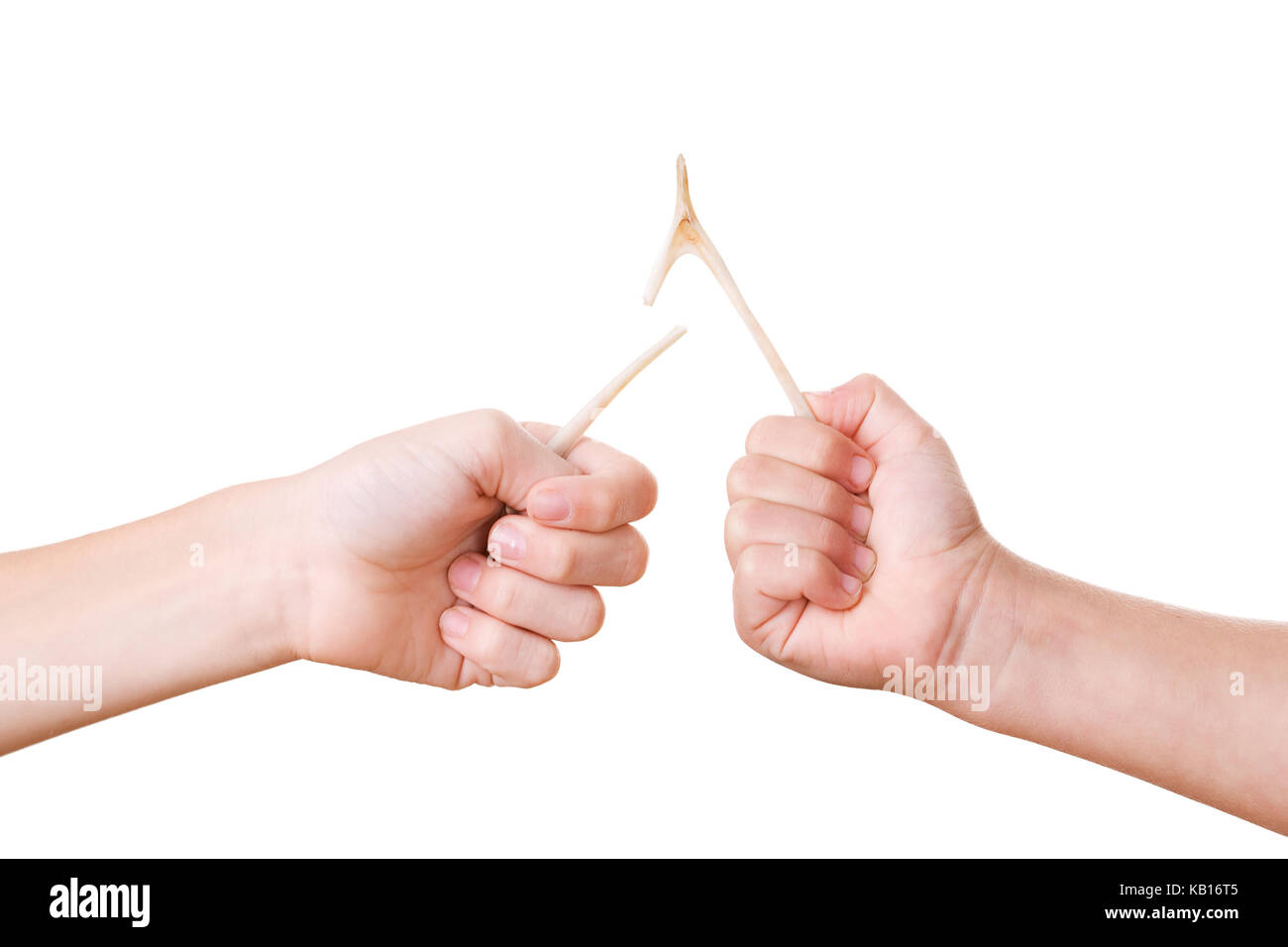 Children's hands holding a wishbone and pulling Stock Photo - Alamy