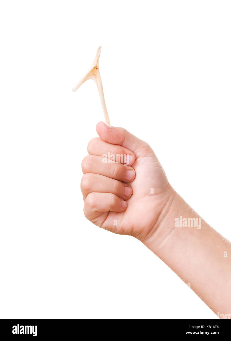 Children's hands holding a wishbone and pulling Stock Photo - Alamy