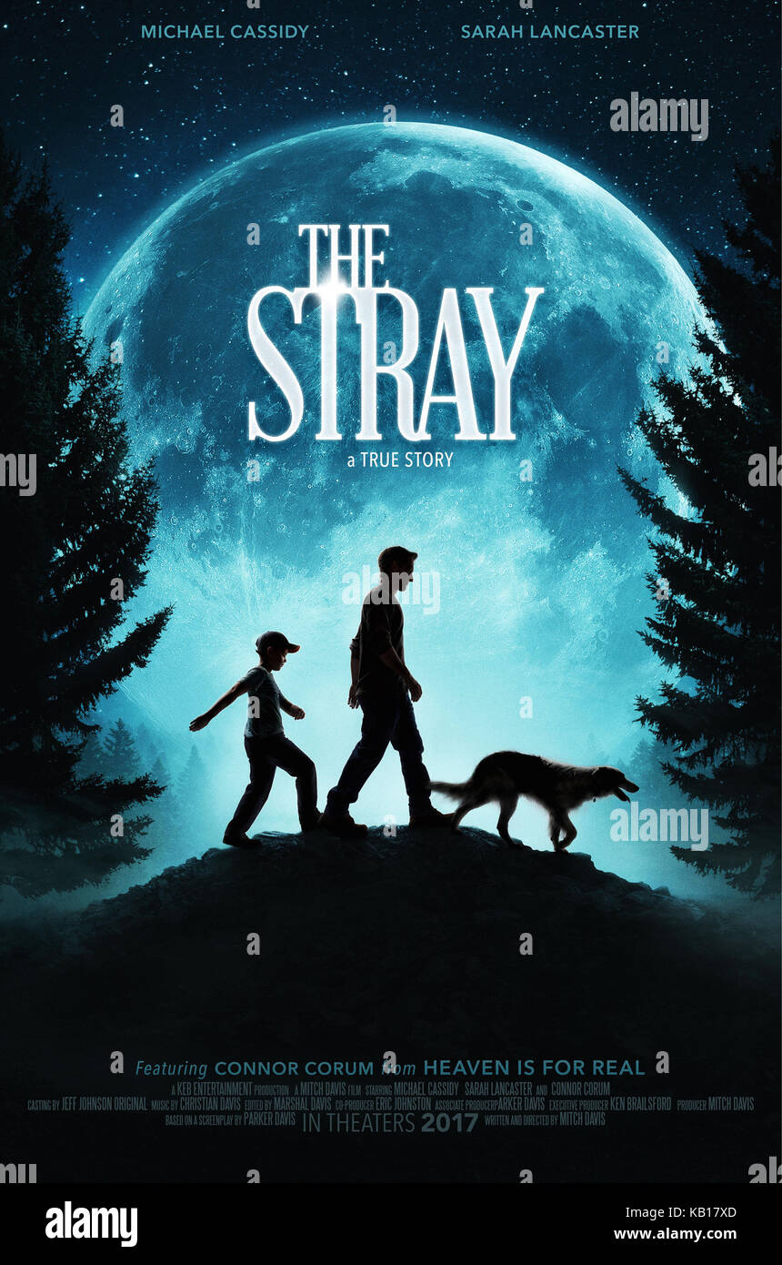 THE STRAY, poster, 2017. ©Purdie Distribution/courtesy Everett ...
