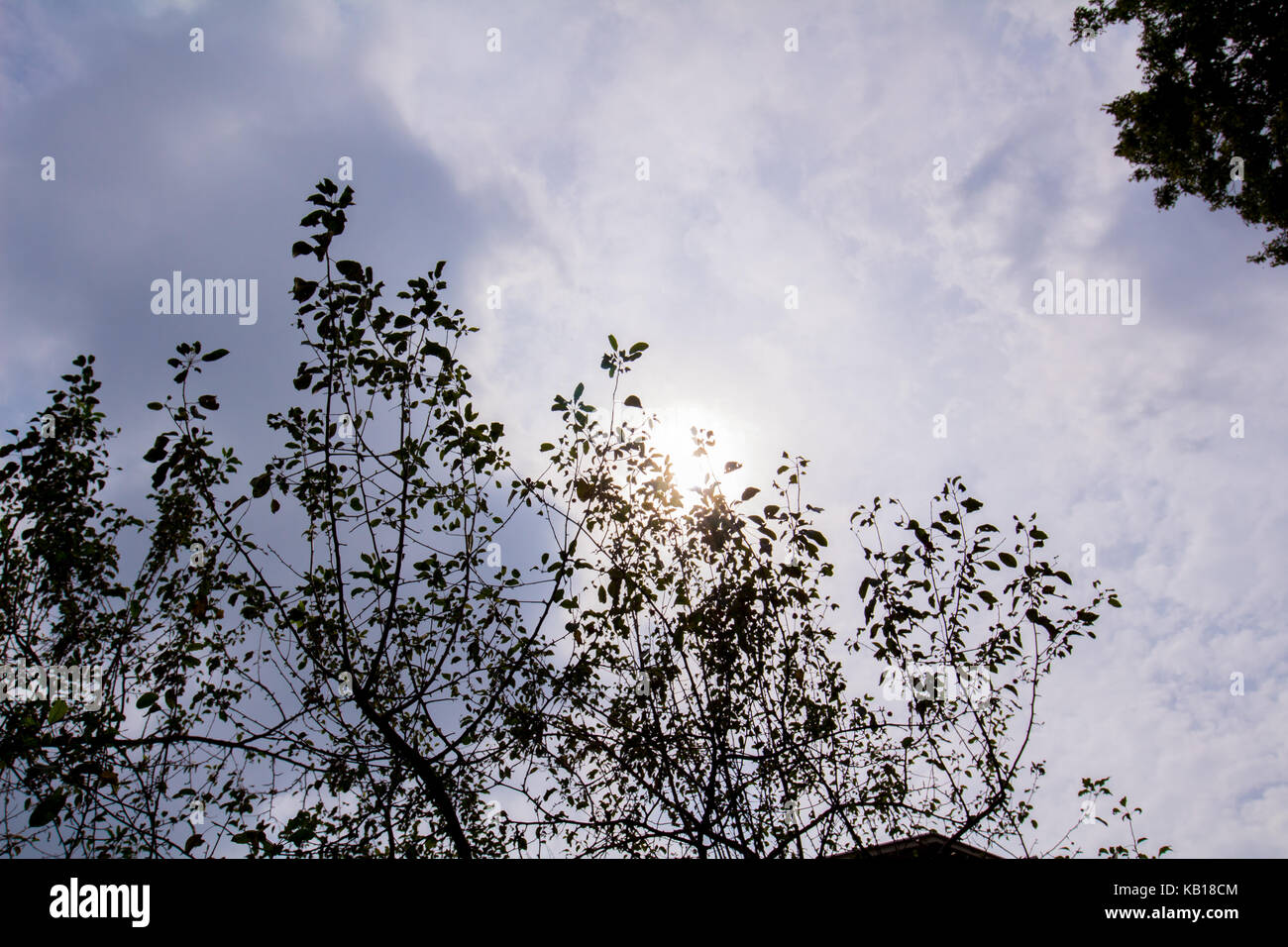 Look up at sky hi-res stock photography and images - Alamy