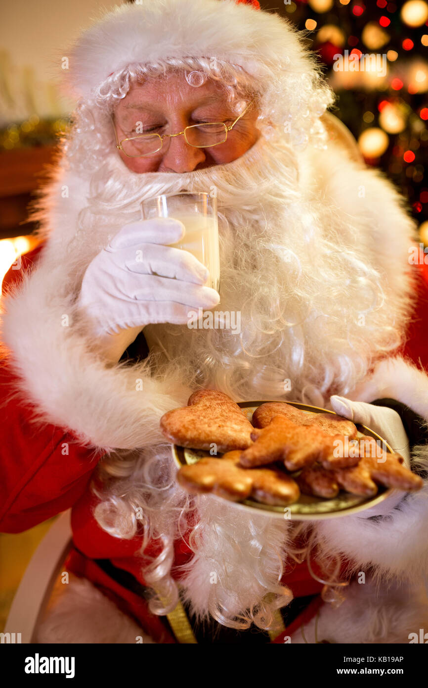 Gingerbread man cookie costume hi-res stock photography and images - Alamy