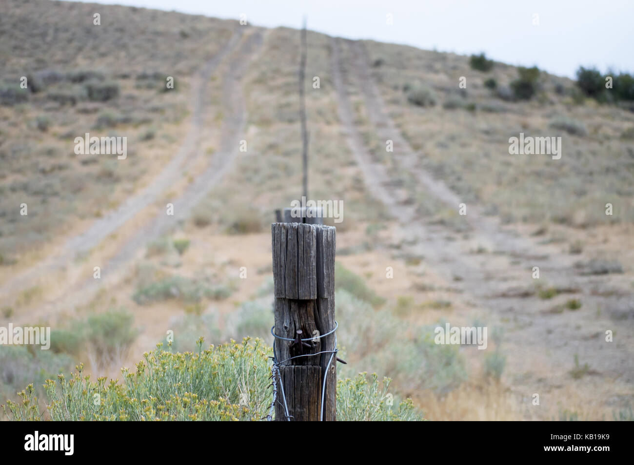 A barbed wire fence dividing two trails on a hill Stock Photo - Alamy
