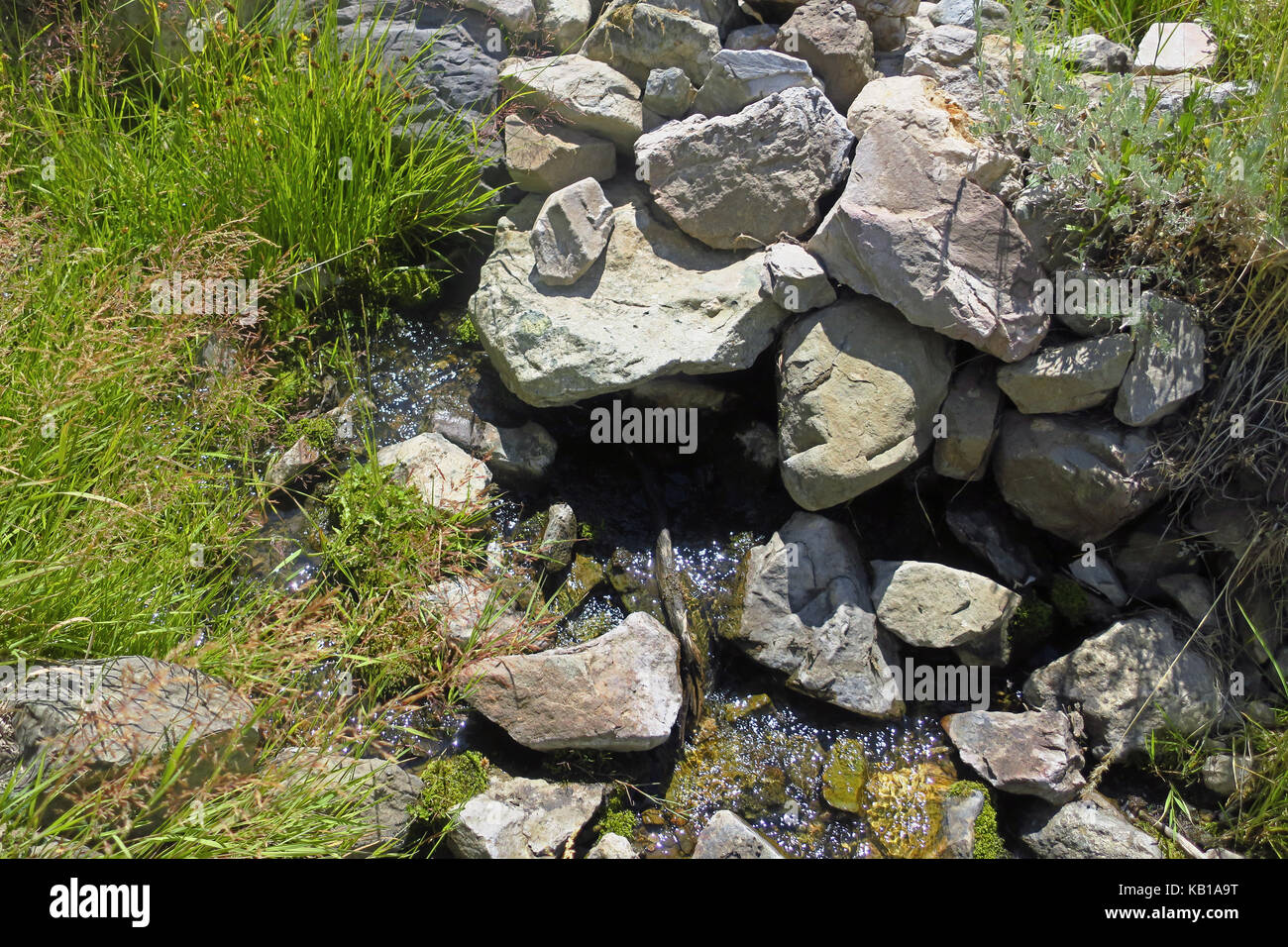 A small stream flowing out of rocks Stock Photo - Alamy