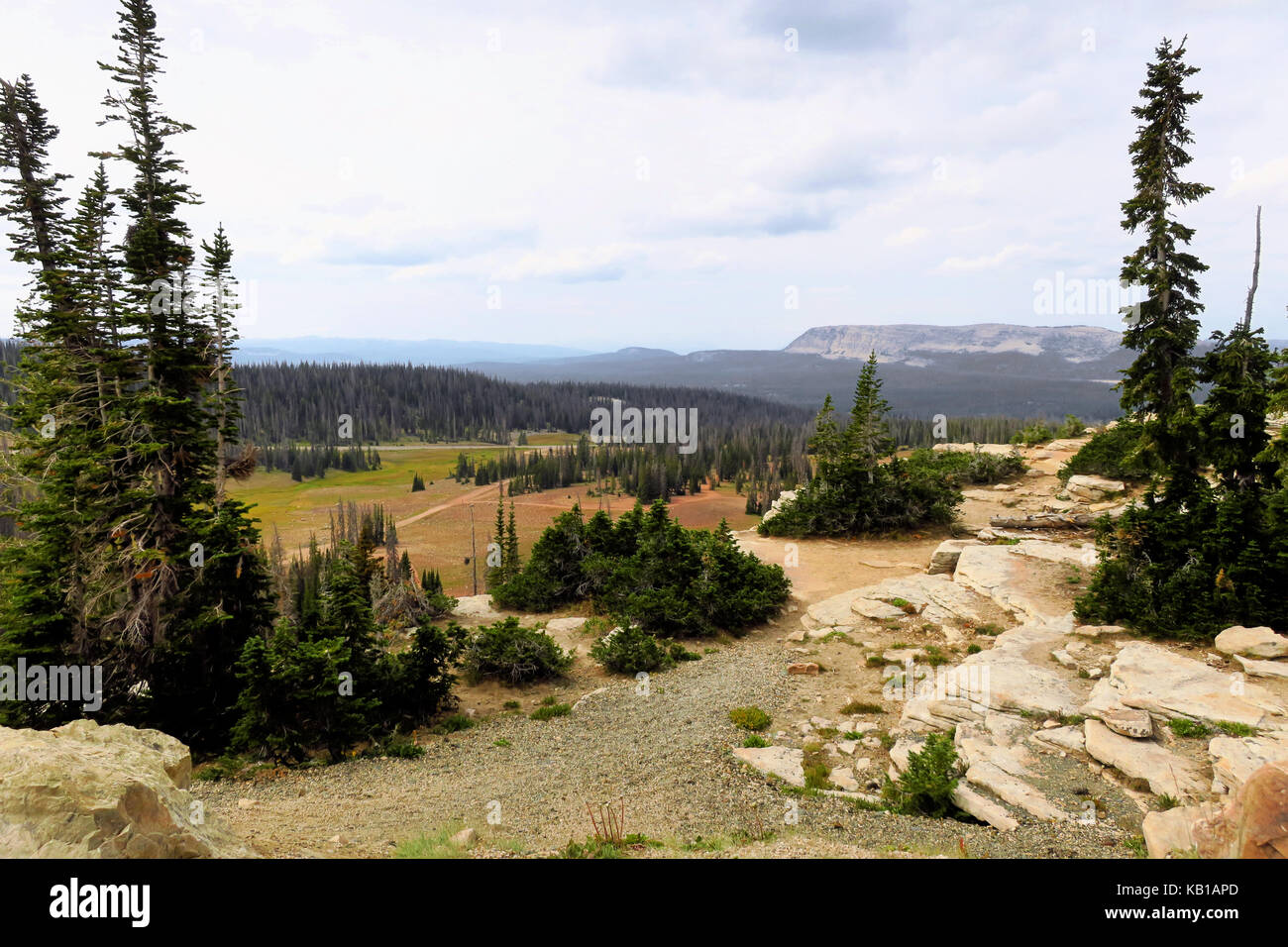 Pine trees on a rocky ridge overlooking a scenic forest and distance ...