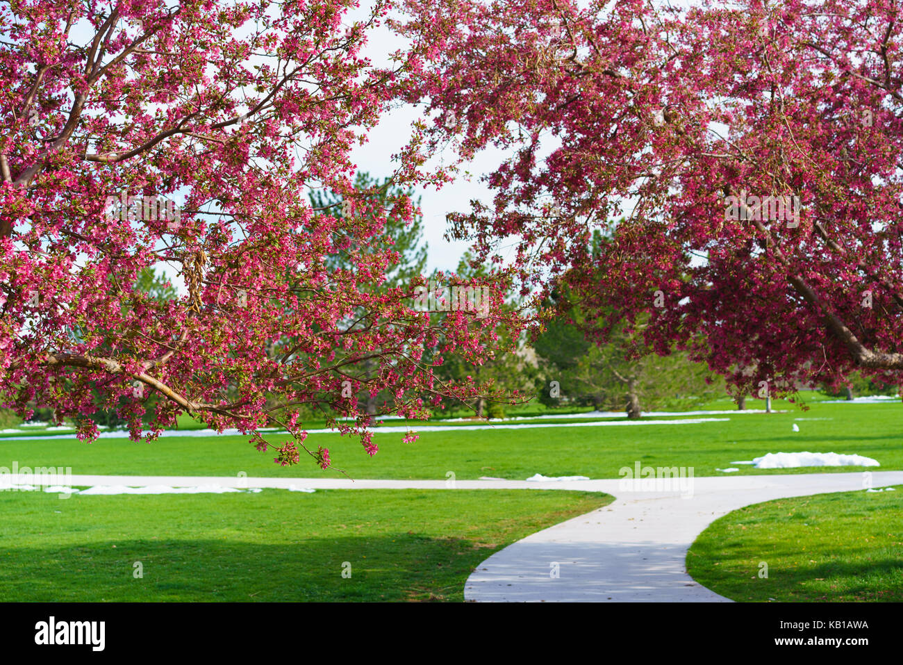 Paths not taken Stock Photo - Alamy