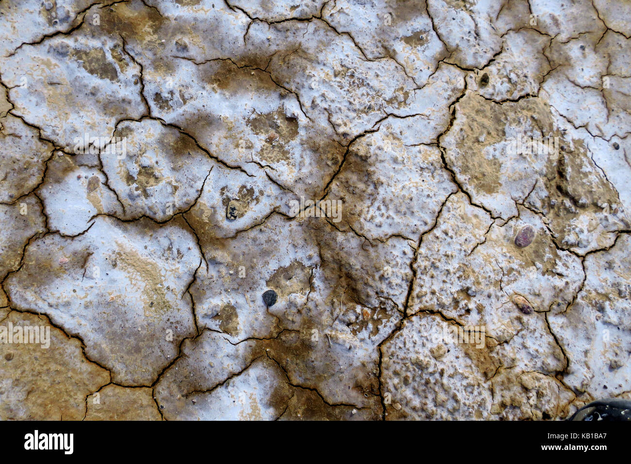 Clay limestone soil hi-res stock photography and images - Alamy