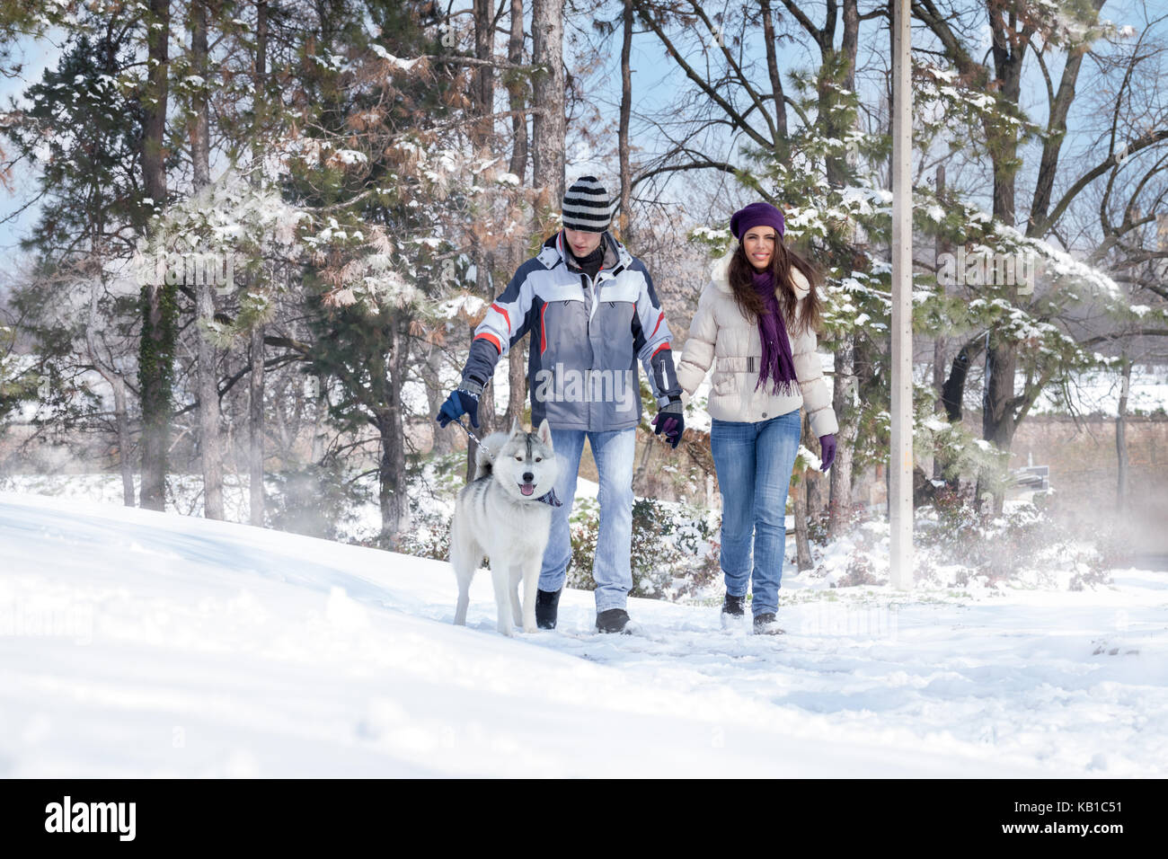 Man walking his dog in the woods in snow hi-res stock photography and ...