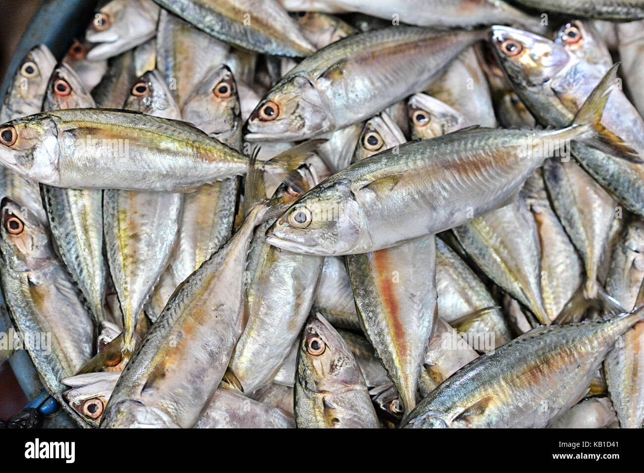 fresh fish on market Stock Photo - Alamy