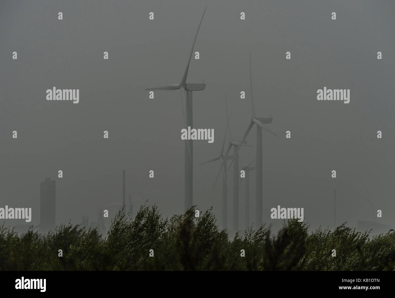 wind turbines in fog Stock Photo - Alamy