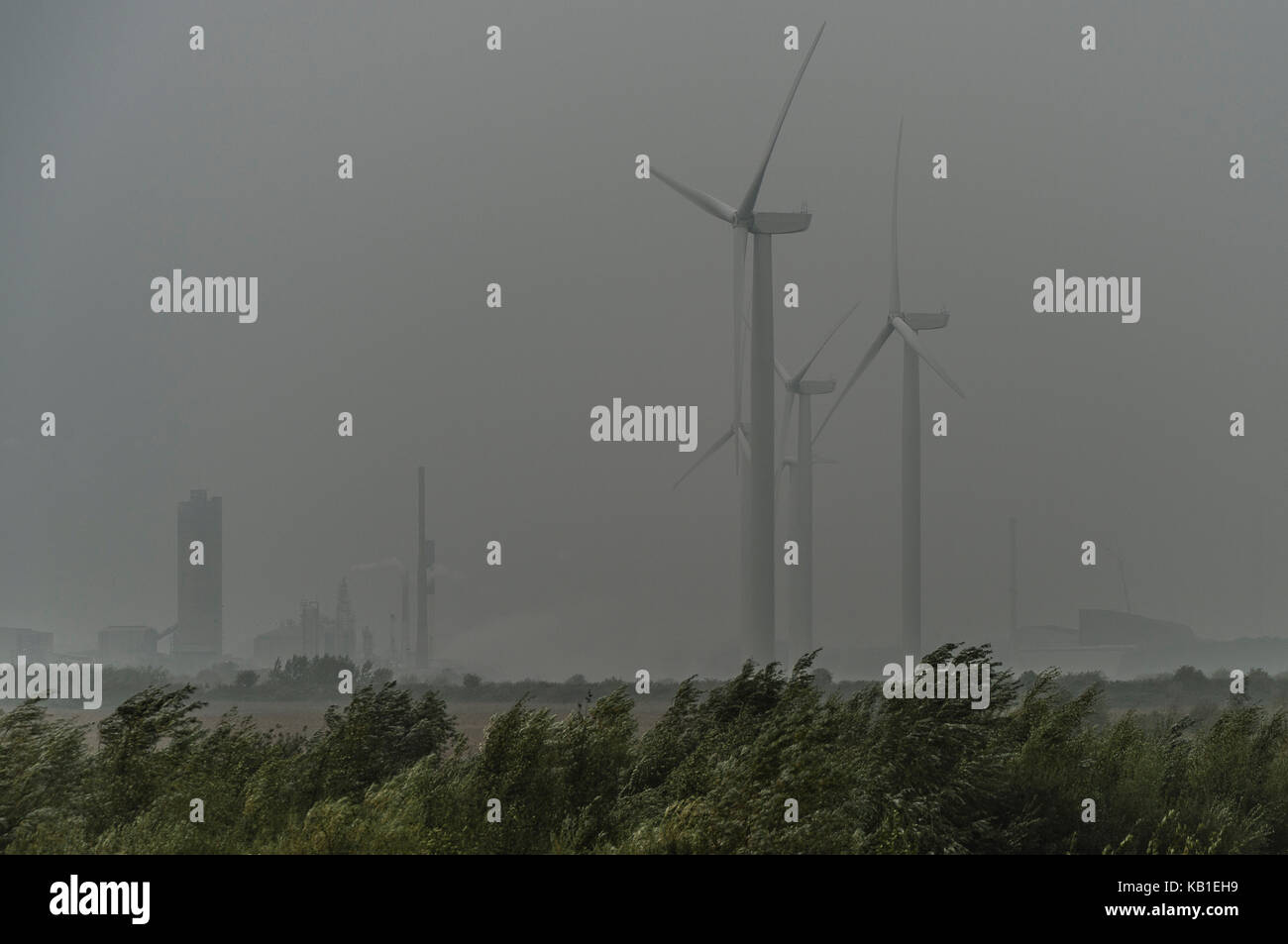 wind turbines in fog Stock Photo - Alamy
