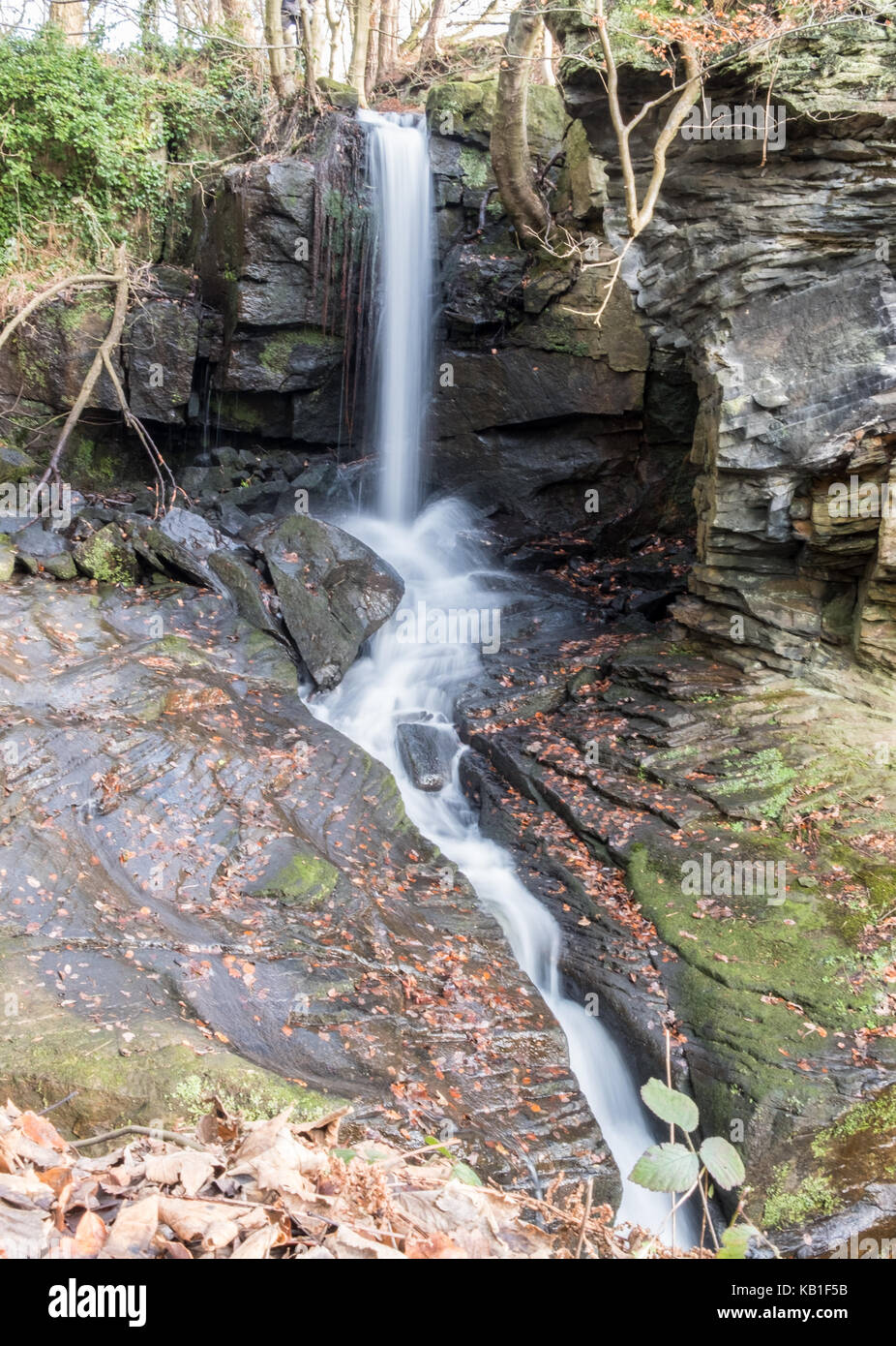 Downhill stream with waterfall through Derbyshire woodland Stock Photo ...