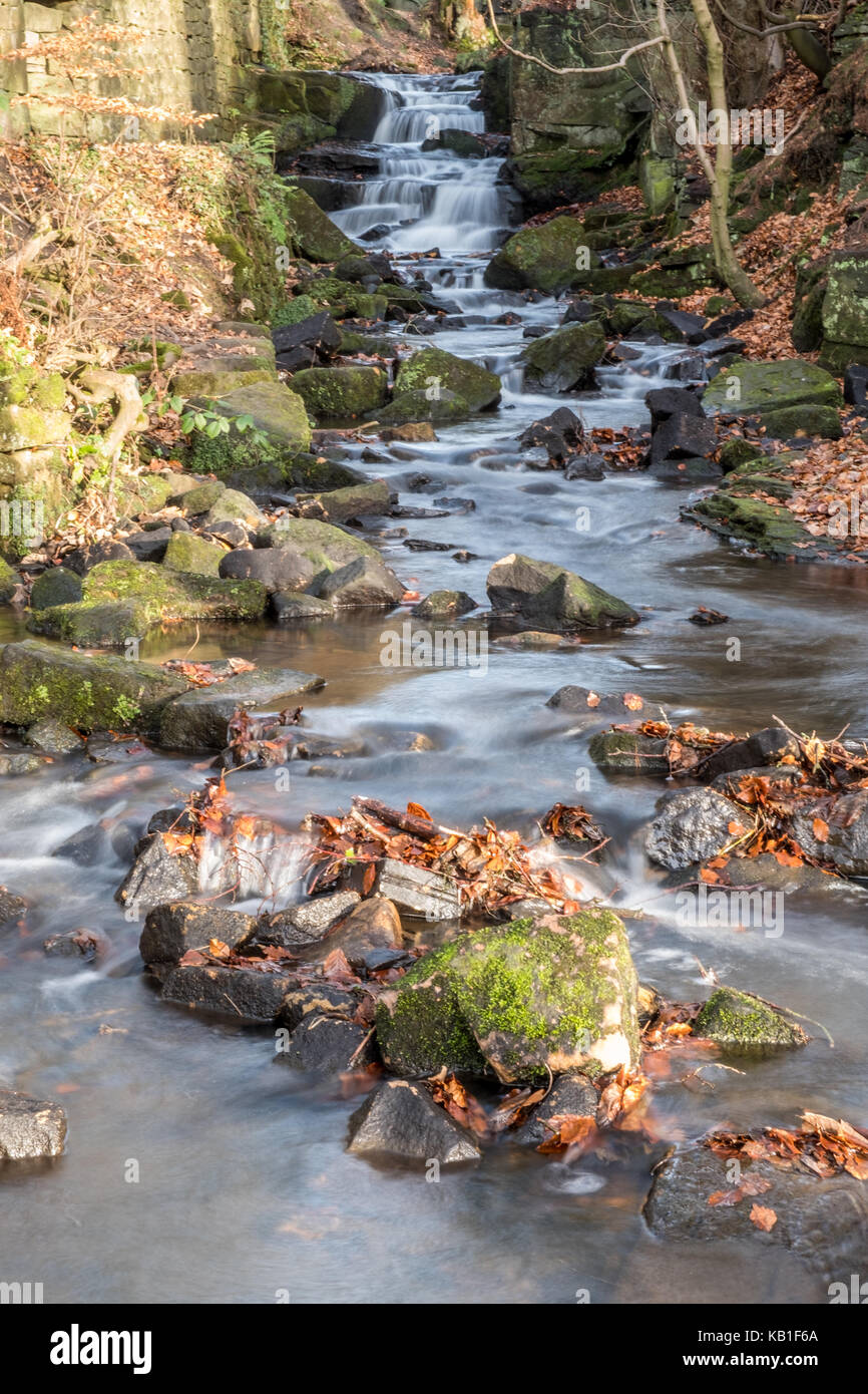 Downhill stream with waterfall through Derbyshire woodland Stock Photo ...