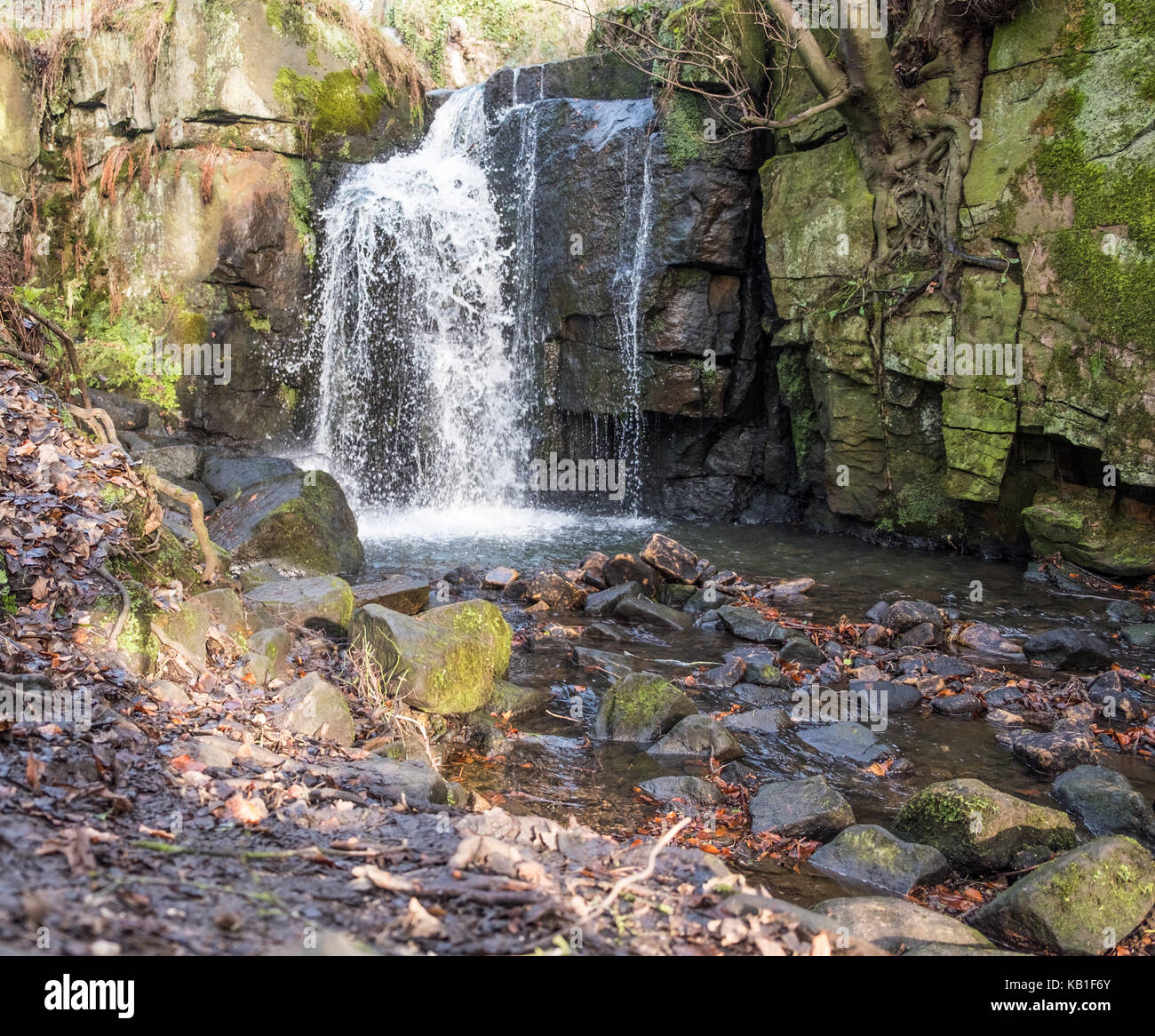 Downhill stream with waterfall through Derbyshire woodland Stock Photo ...