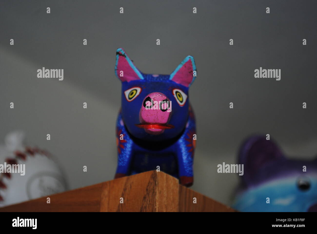 Vibrant colored pig Stock Photo - Alamy