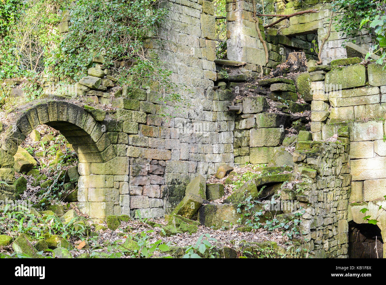 Lumsdale ruins near Matlock Derbyshire Stock Photo - Alamy