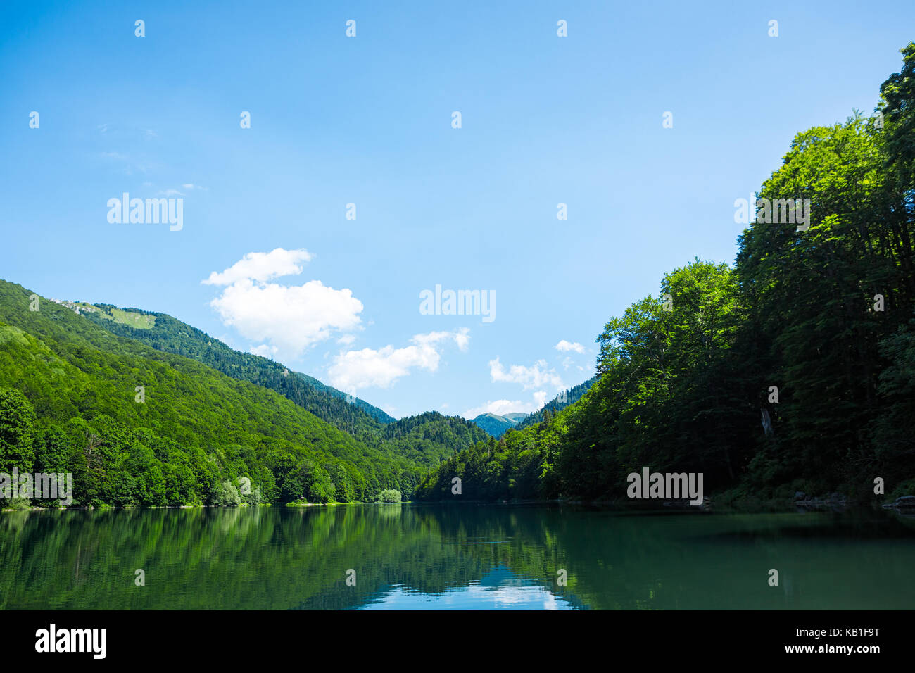 Turquoise lake forest hi-res stock photography and images - Alamy