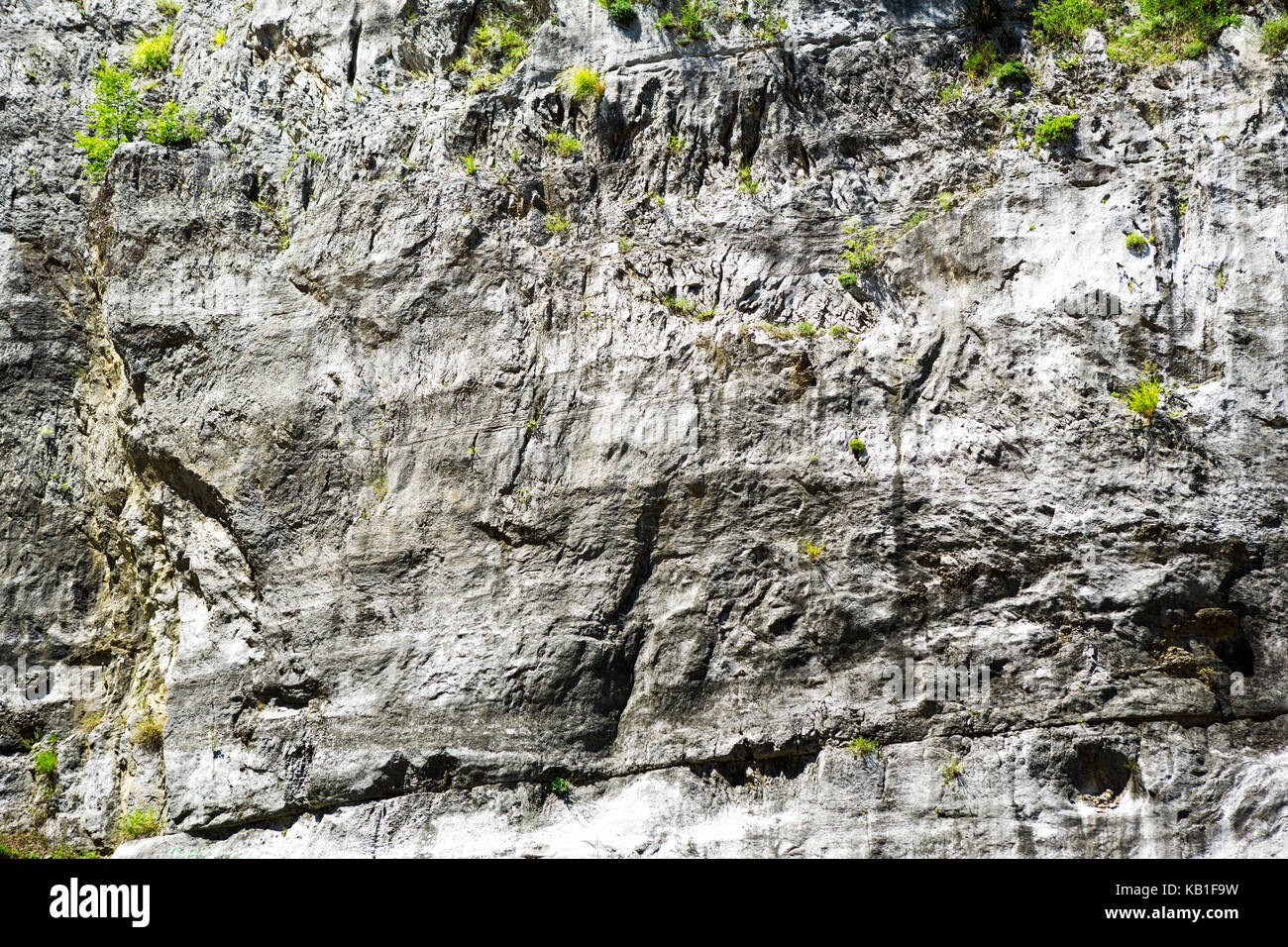 rock texture background closeup Stock Photo - Alamy