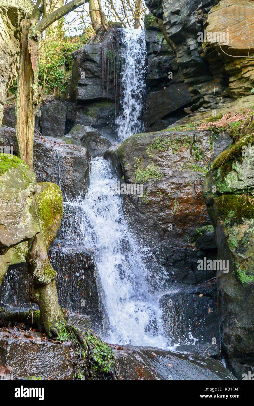 Downhill stream with waterfall through Derbyshire woodland Stock Photo ...